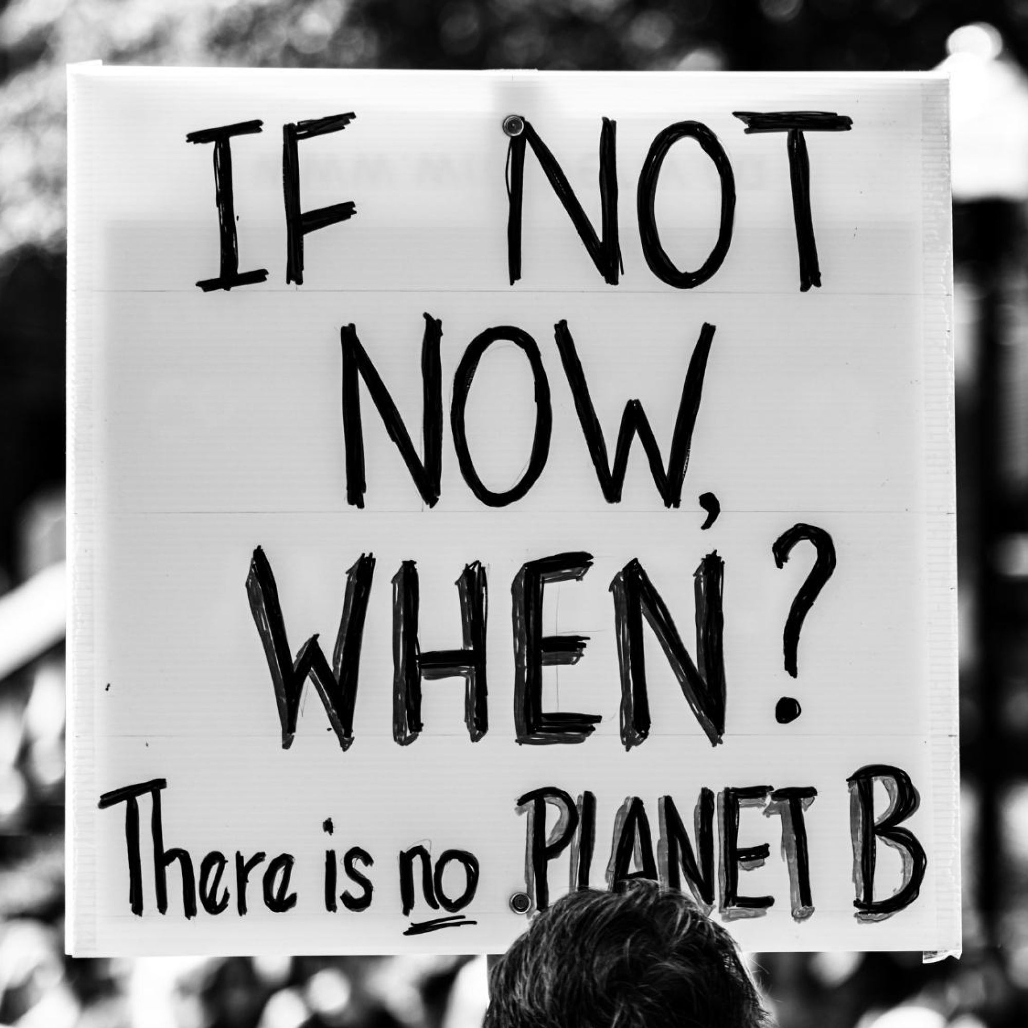 Climate Change is a social justice problem, and we must act now ...